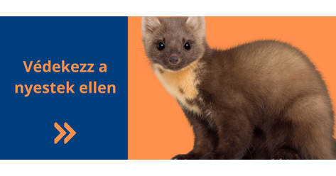 Védekezés a nyestek ellen